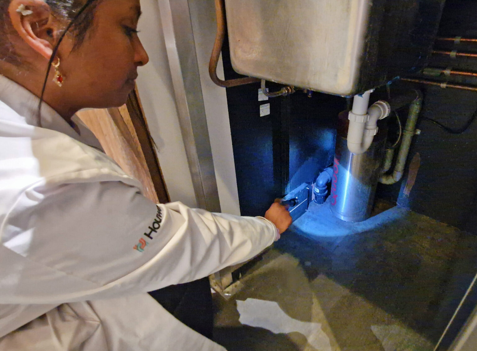 Muizenkeutels: 5 tips van onze inspecteur - Houwers